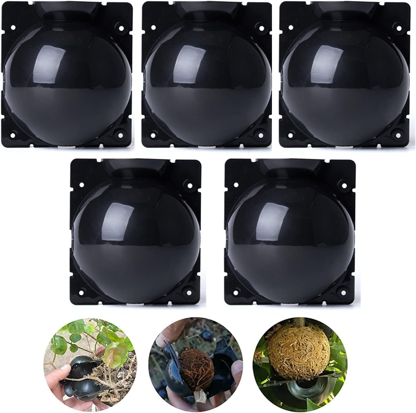 Plant Rooting Device Root Boxes 5 Pack Plastic Self-Locking Reusable ...