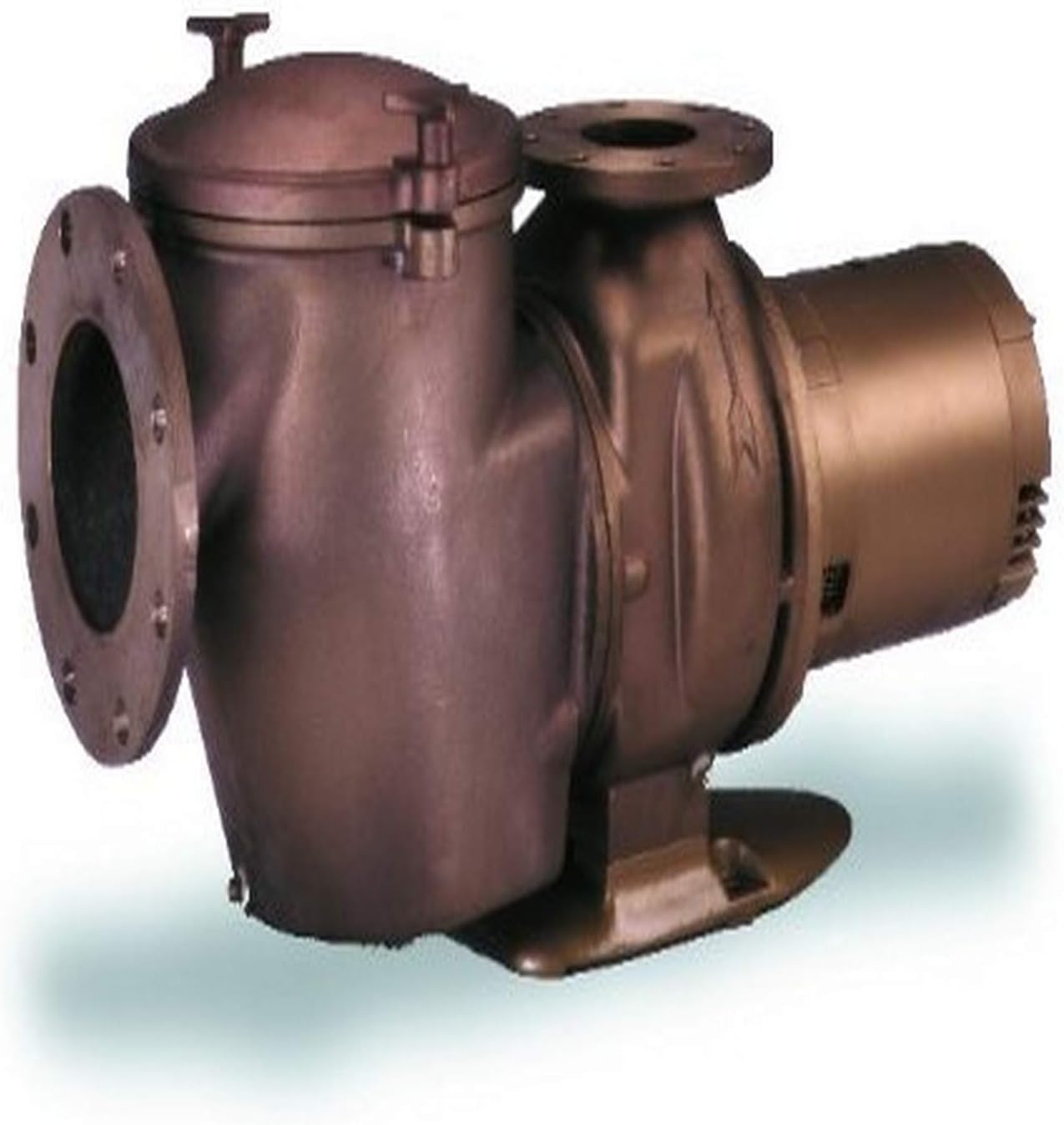 Amazon.com : Pentair 011652 CMK-50 C Series Commercial Bronze Pump 5 ...