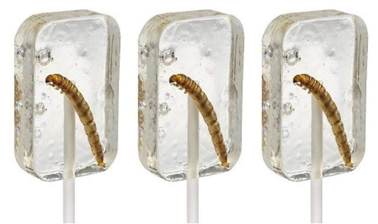 Amazon.com : Hotlix Tequila Worm Sucker Pack of 3 Insect Candy ...