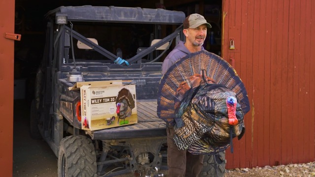Watch Wiley Tom 3D Folding Video& How to use and store the decoy. on ...