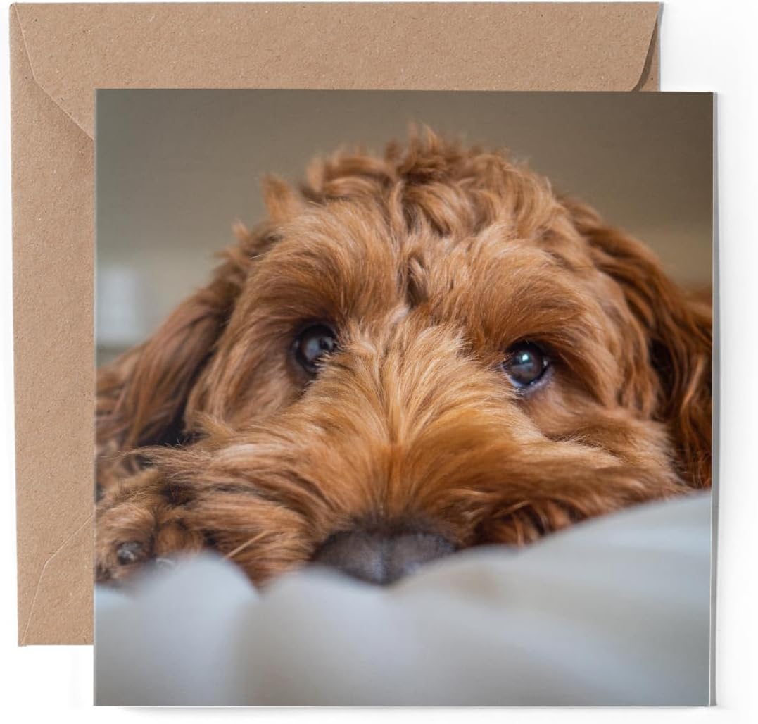 1 x Greeting Card - Brown Cockapoo Dog Puppy - Blank Birthday ...