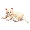 Amazon.com: GUDVES Siamese Cat Stuffed Animal, Shorthair Cat Realistic ...