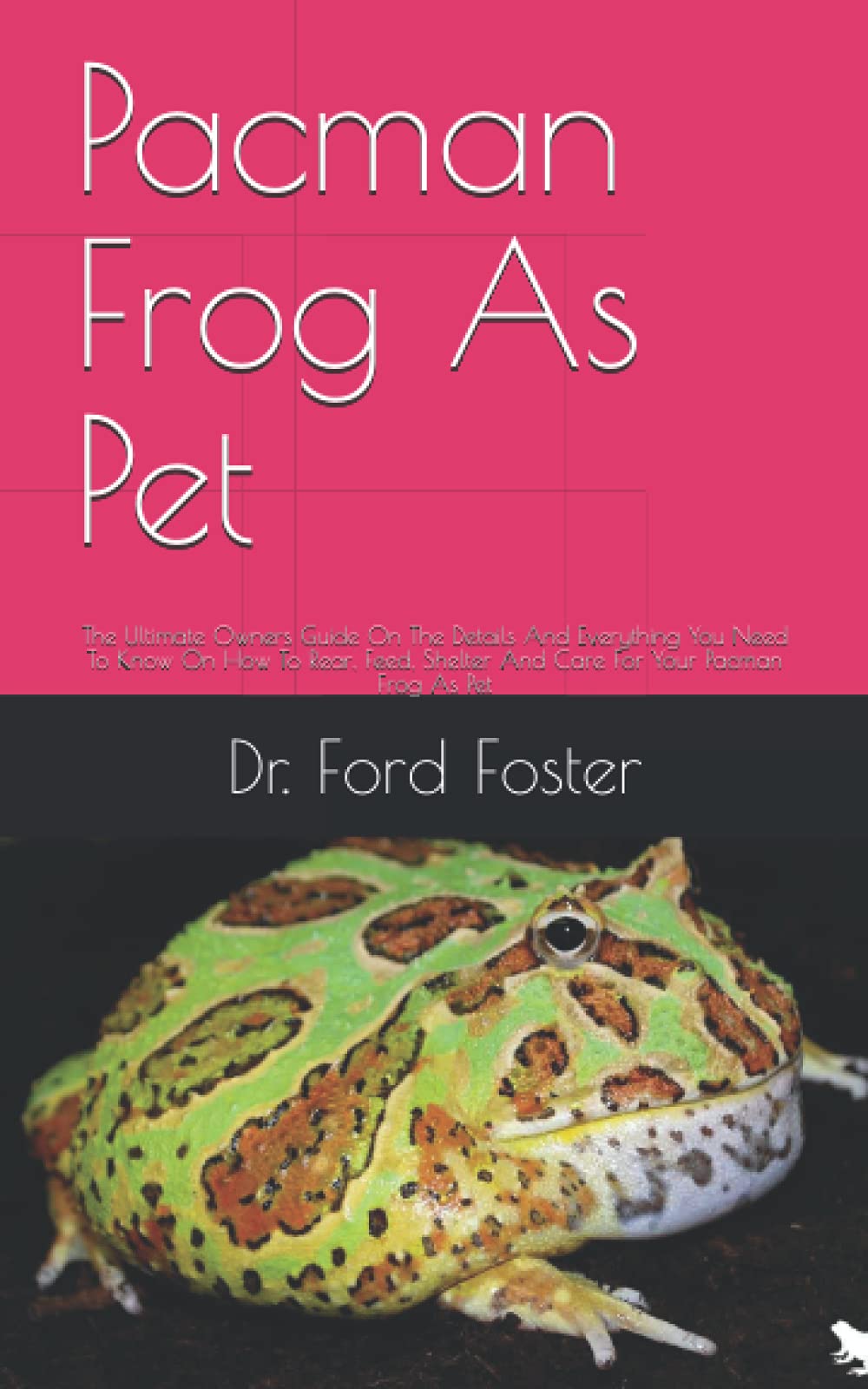Buy Pacman Frog As Pet: The Ultimate Owners Guide On The Details And ...