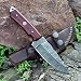 Grace Knives Handmade Damascus Steel Knife Fixed Blade Hunting Knife 8. ...