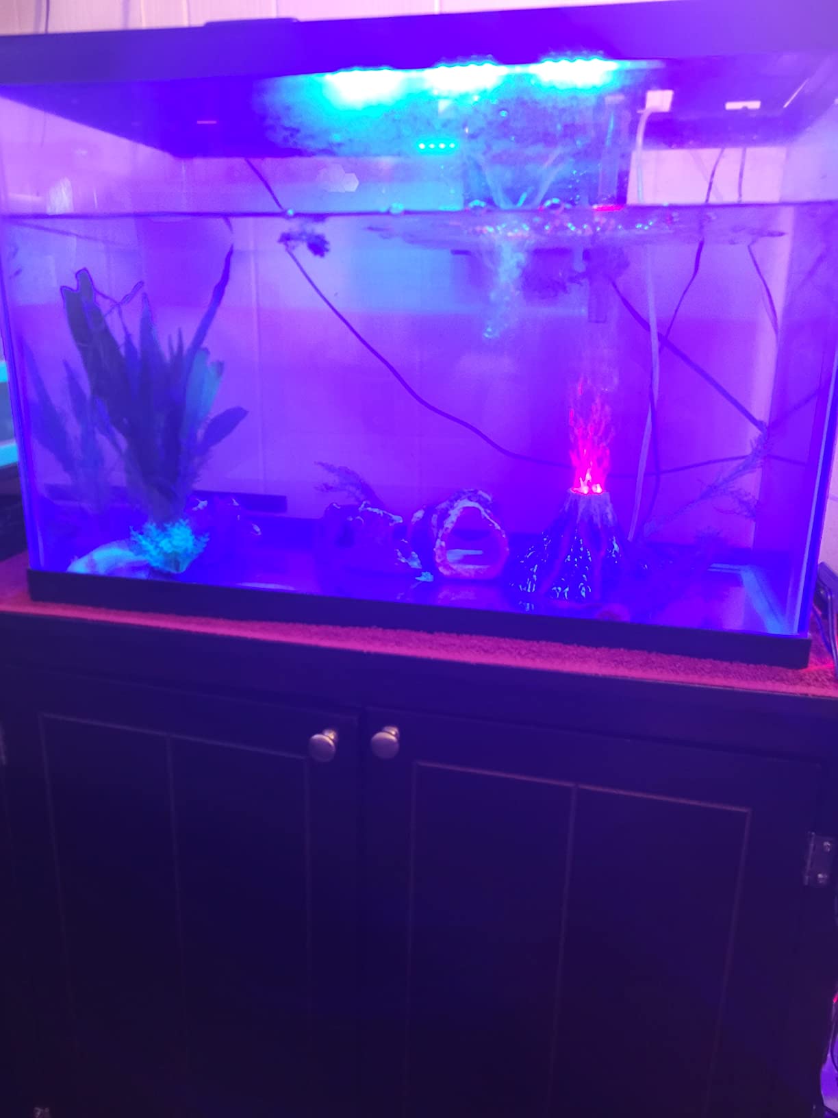 $22/mo - Finance GloFish 20 Gallon Aquarium Kit with LED Lights, Decor ...