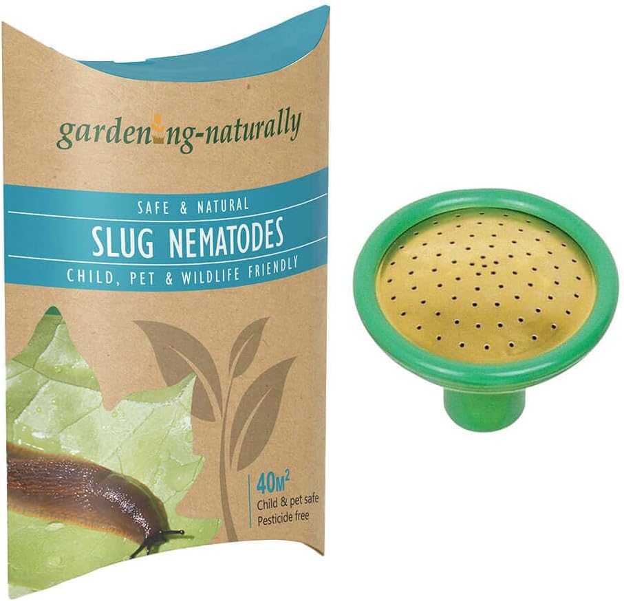 Slug Nematodes 40sq.m Organic Pest Control for Gardens Effective Slug ...