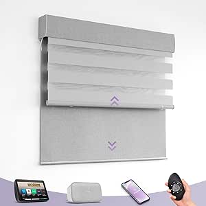 Amazon.com: Graywind Smart Dual Shades Compatible with Alexa Google Homepod Motorized Double ...