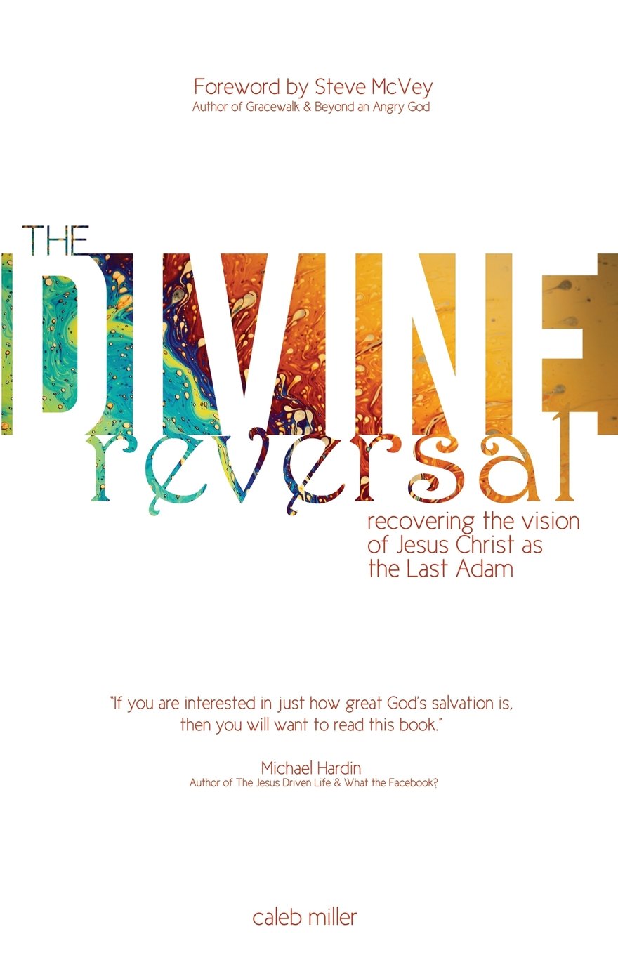 The Divine Reversal: Revised Edition: Recovering the Vision of Jesus ...