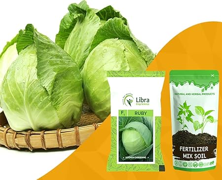Kobi Seeds for Planting | Cabbage | Farming | Home | Garden | Vegetable ...