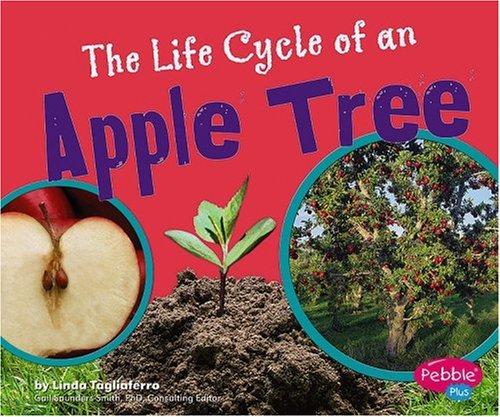The Life Cycle of an Apple Tree (Pebble Plus) : Tagliaferro, Linda ...