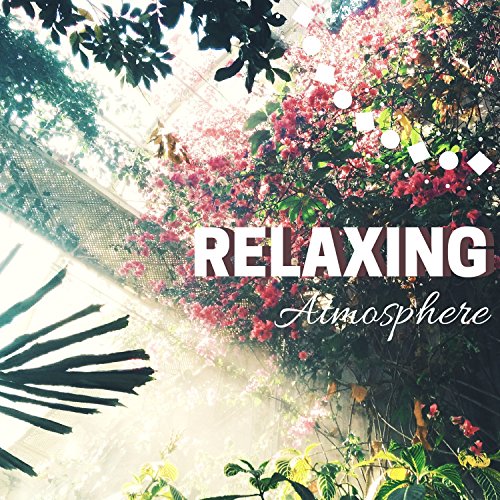 Amazon.com: Relaxing Atmosphere - Biofeedback Training Ambiental Music ...