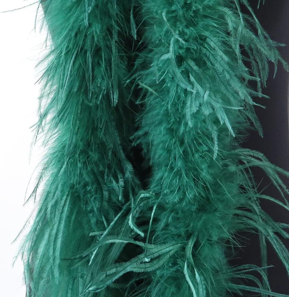 Amazon.com: Ostrich Feather Boas -2 Yards Colorful Feather Boas DIY ...