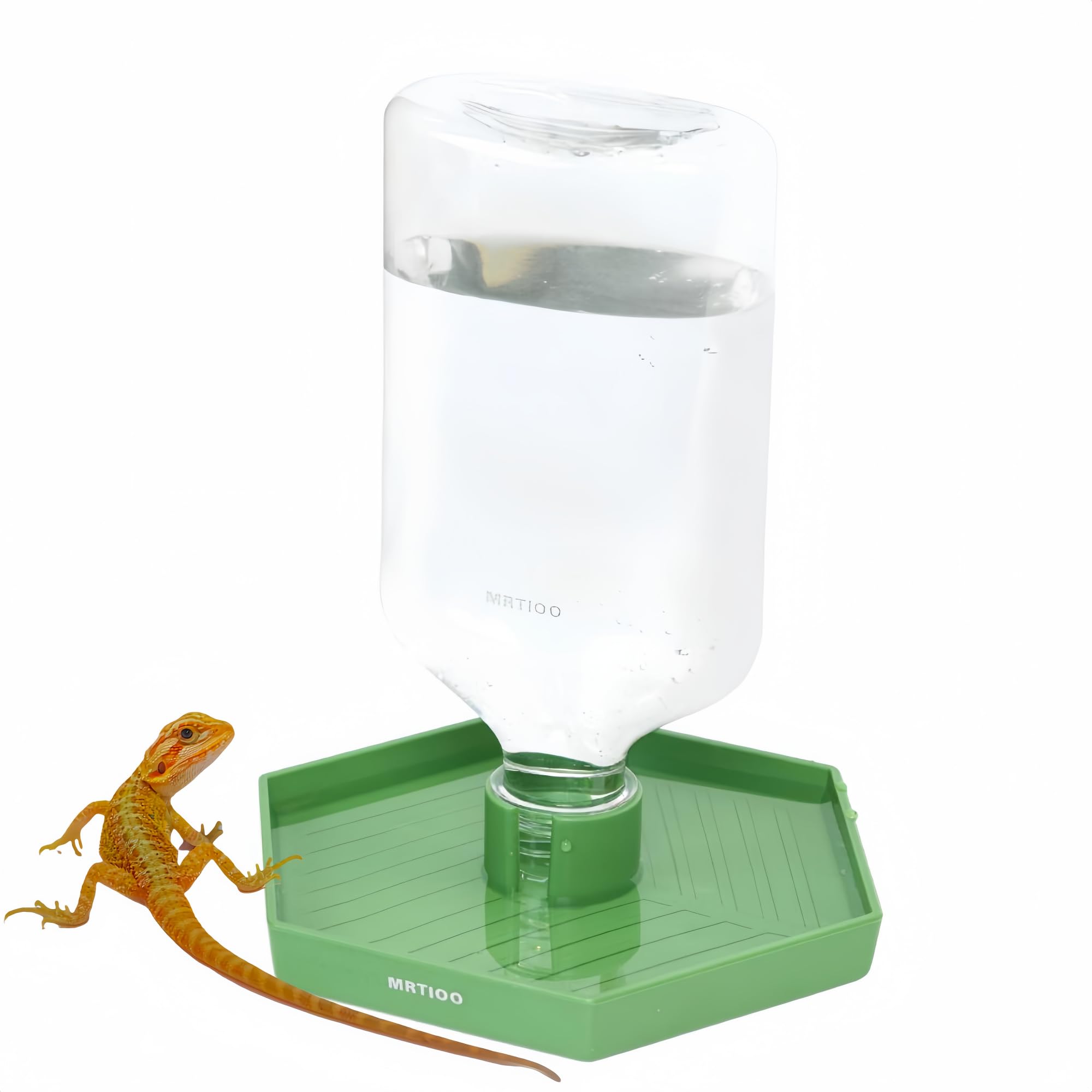 Bearded Dragon Accessories 17oz Reptile Water Feeder Bowl - Automatic ...