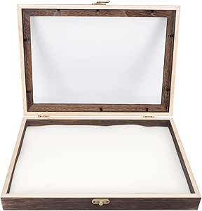 Amazon.com: Cabilock Insect Display Case Wooden Bug Collection Box with ...