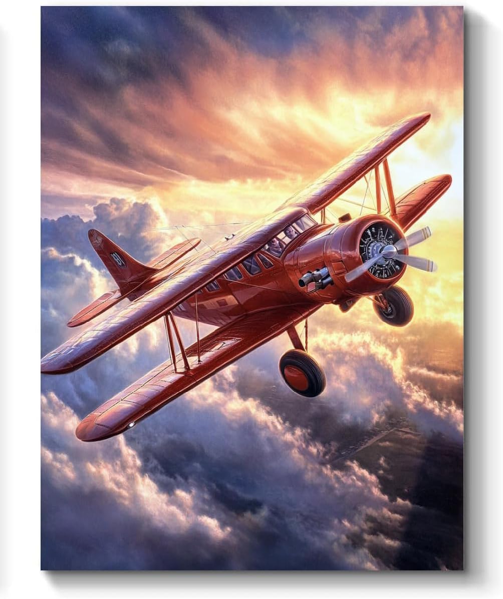 Amazon.com: Retro Airplane Paint by Numbers Kit for Adults, 16"x20 ...