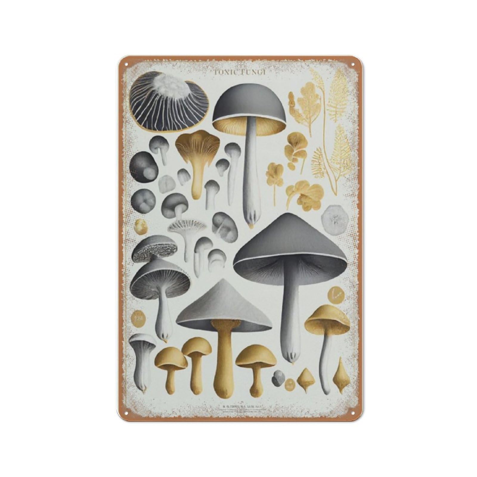 Poisonous Mushrooms Chart