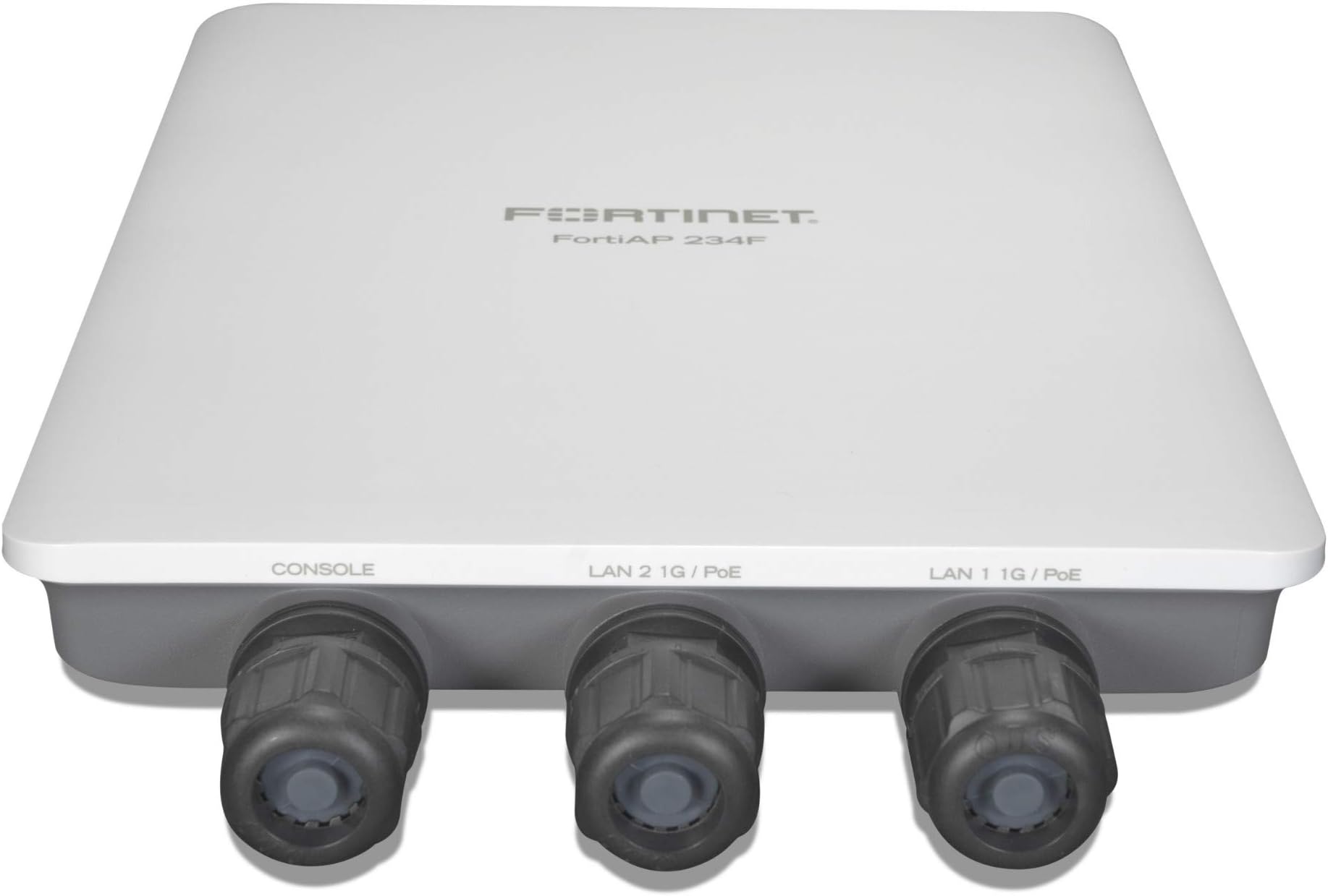 Amazon.com: FORTINET FortiAP 234F Outdoor Wireless Access Point: Tri ...