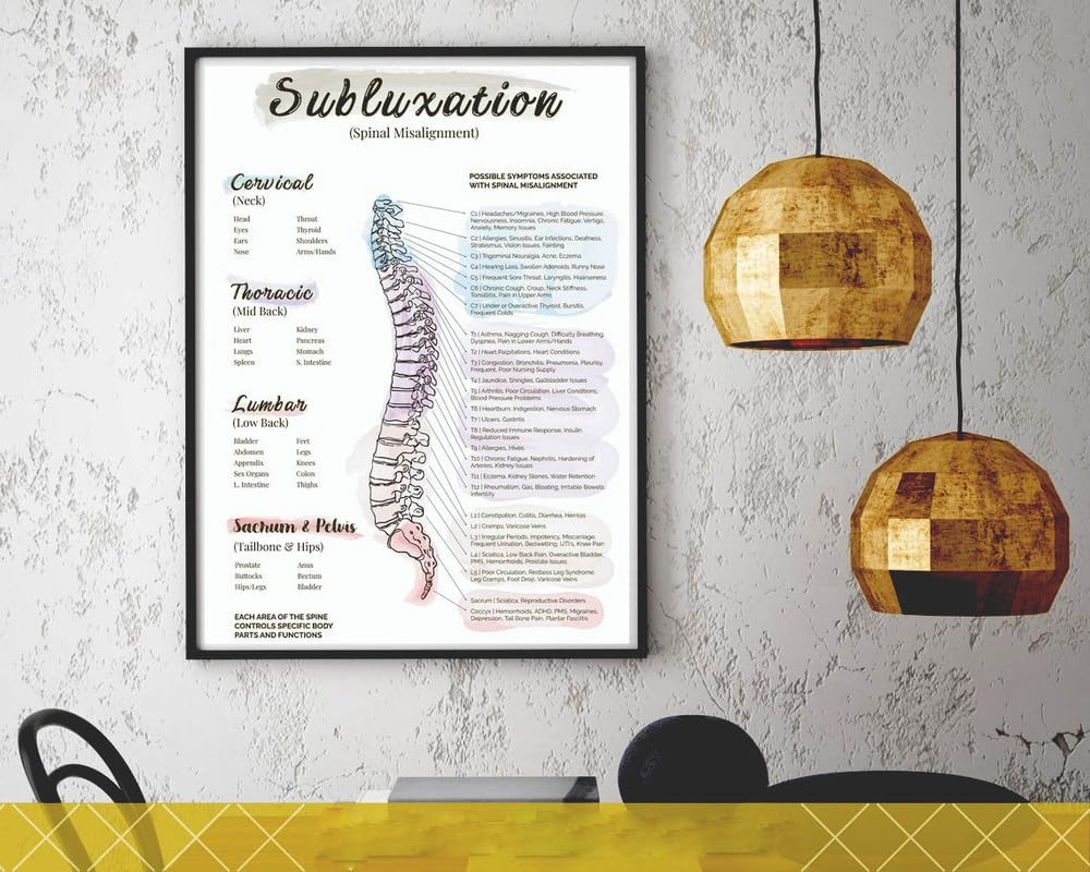 Amazon.com: Subluxation Poster For Doctor, Spinal Nerve Chart ...