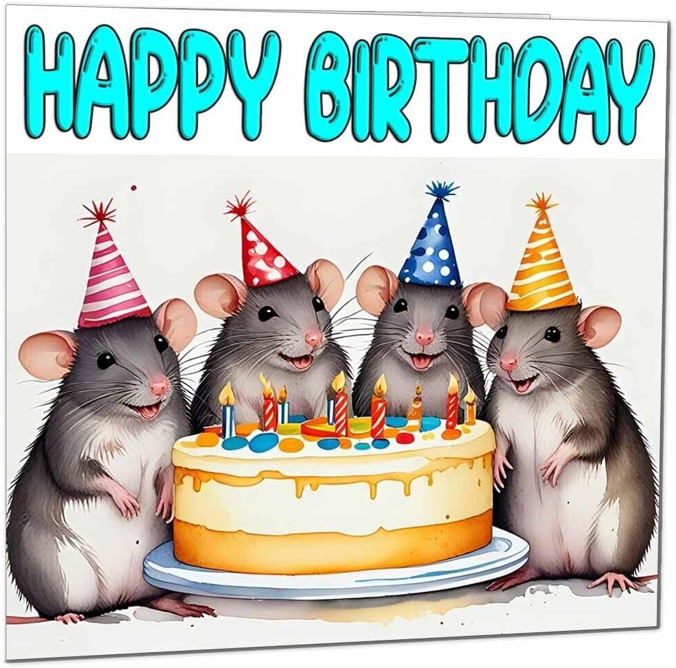 Rat Birthday Card - Fun Cute Rats Party Birthday Card - 145 x 145mm ...
