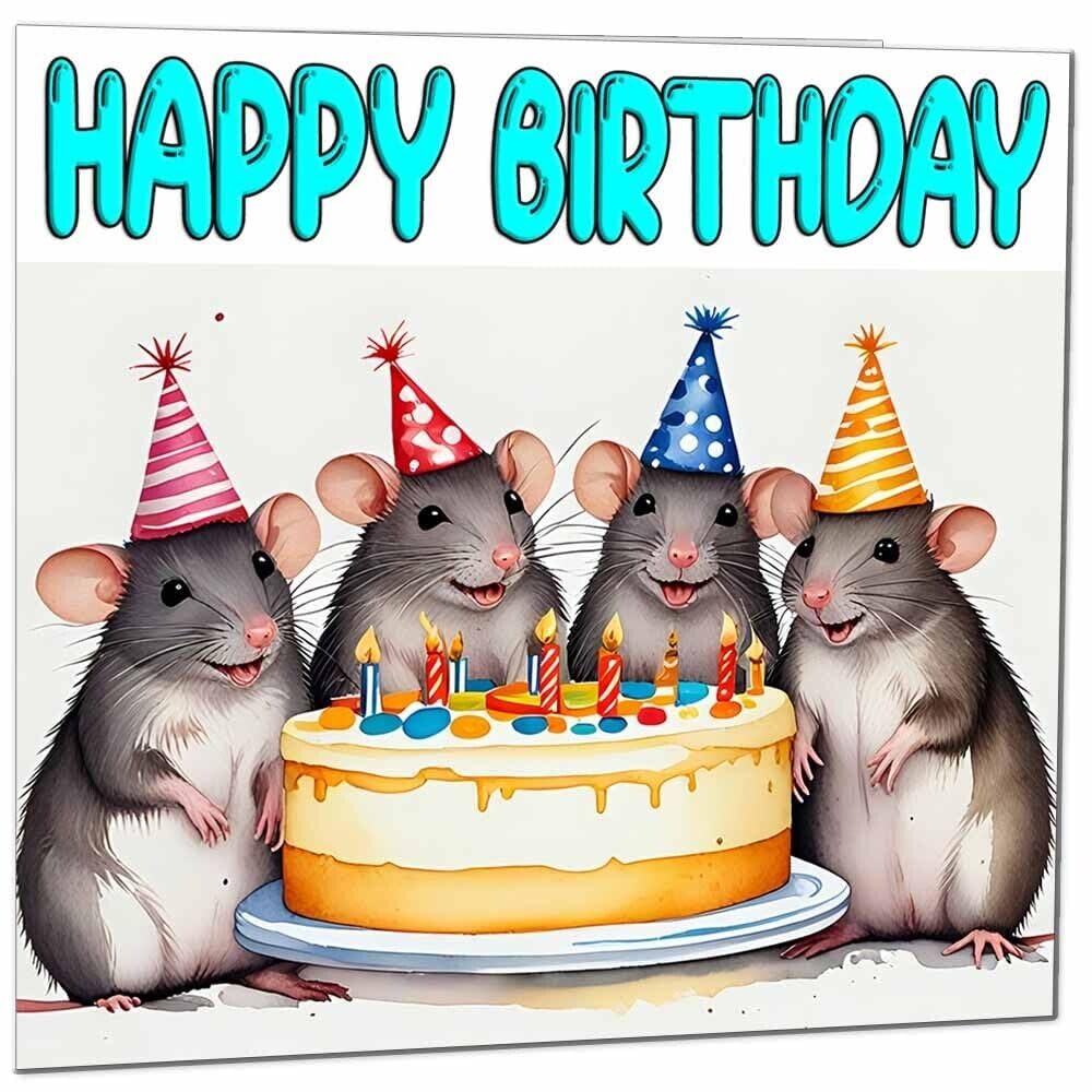 Rat Birthday Card - Fun Cute Rats Party Birthday Card - 145 x 145mm ...