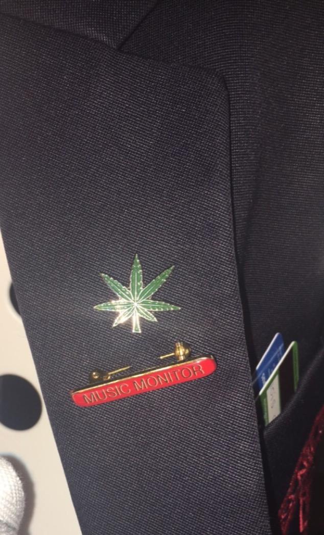 Metal Enamel Pin Badge Marijuana Cannabis Drug Leaf : Amazon.co.uk: Fashion