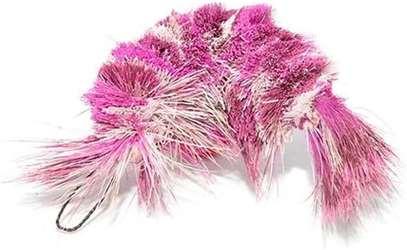 Amazon.com: GoCat Cat Lures Shrimpfly Magenta