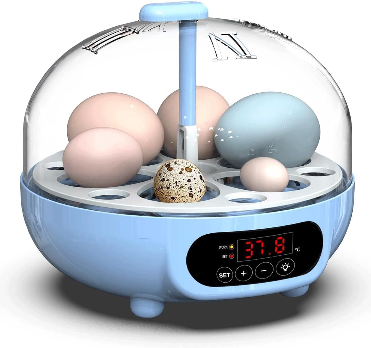 Amazon.com: Egg Incubator for Hatching Eggs, Digital Mini Fully Automatic Egg Incubator 6 Eggs ...