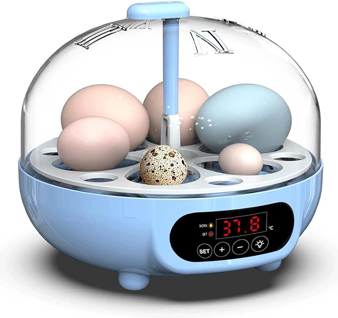 Amazon.com: Egg Incubator for Hatching Eggs, Digital Mini Fully ...