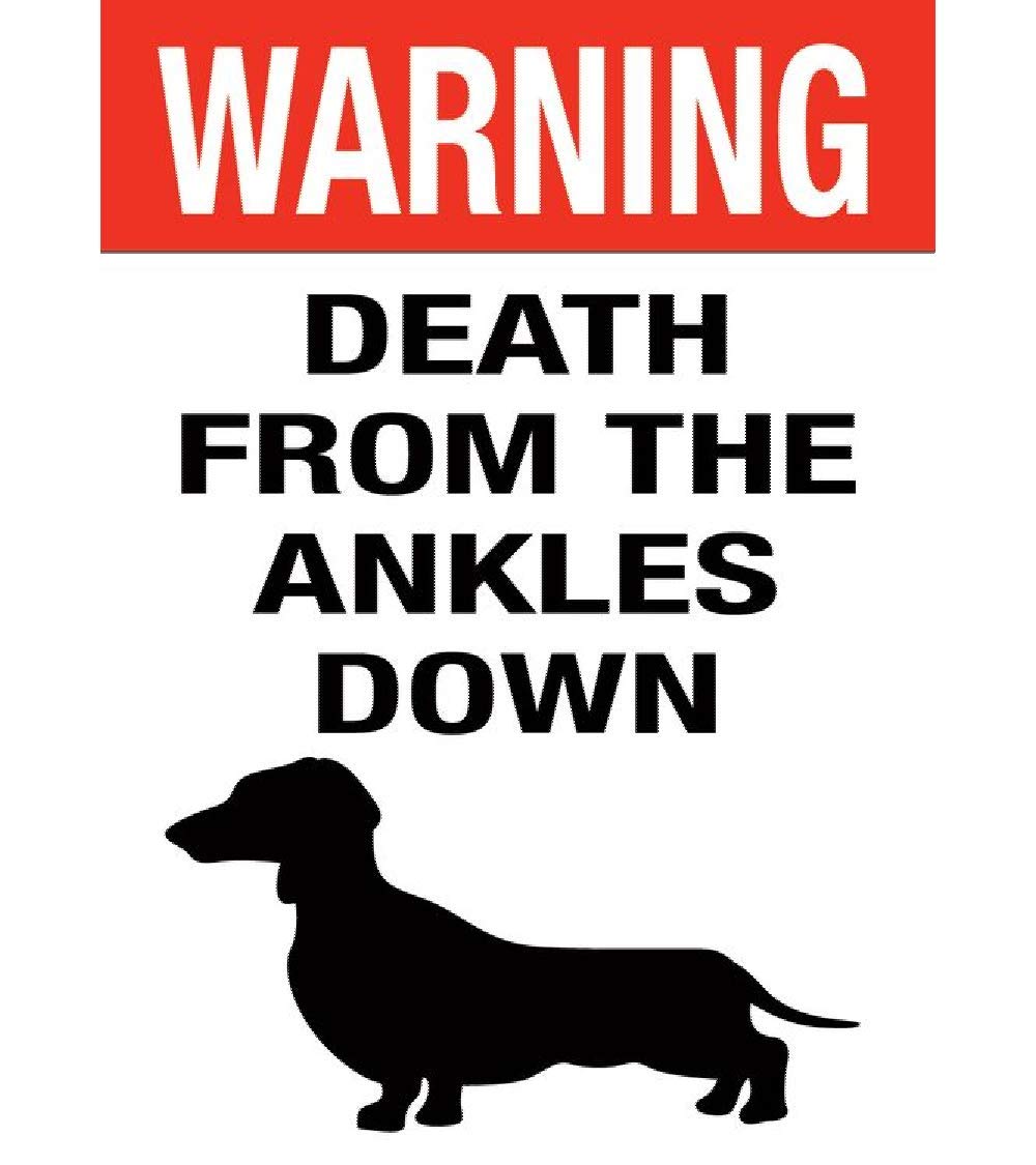 Ankle Biter Memes