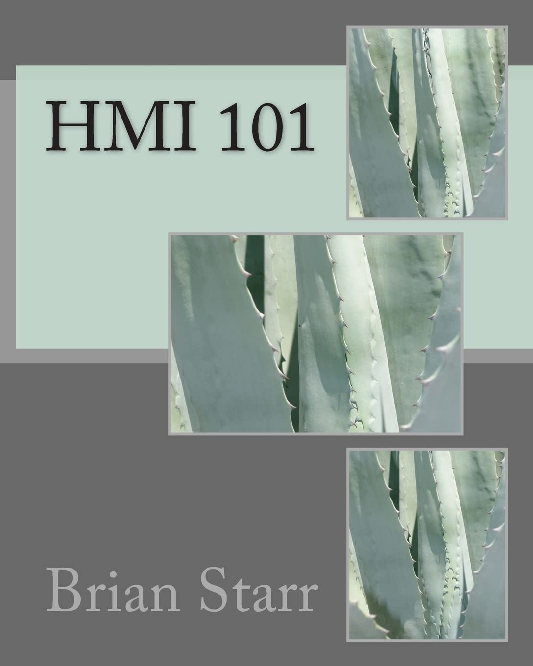 Hmi 101 (HMI Training Manuals): Starr, Mr. Brian Daniel: 9781494356750 ...