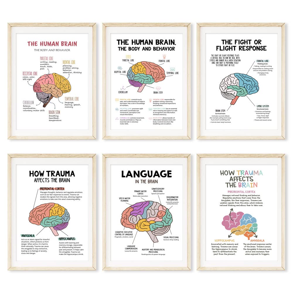 Positive Mental Health Examples