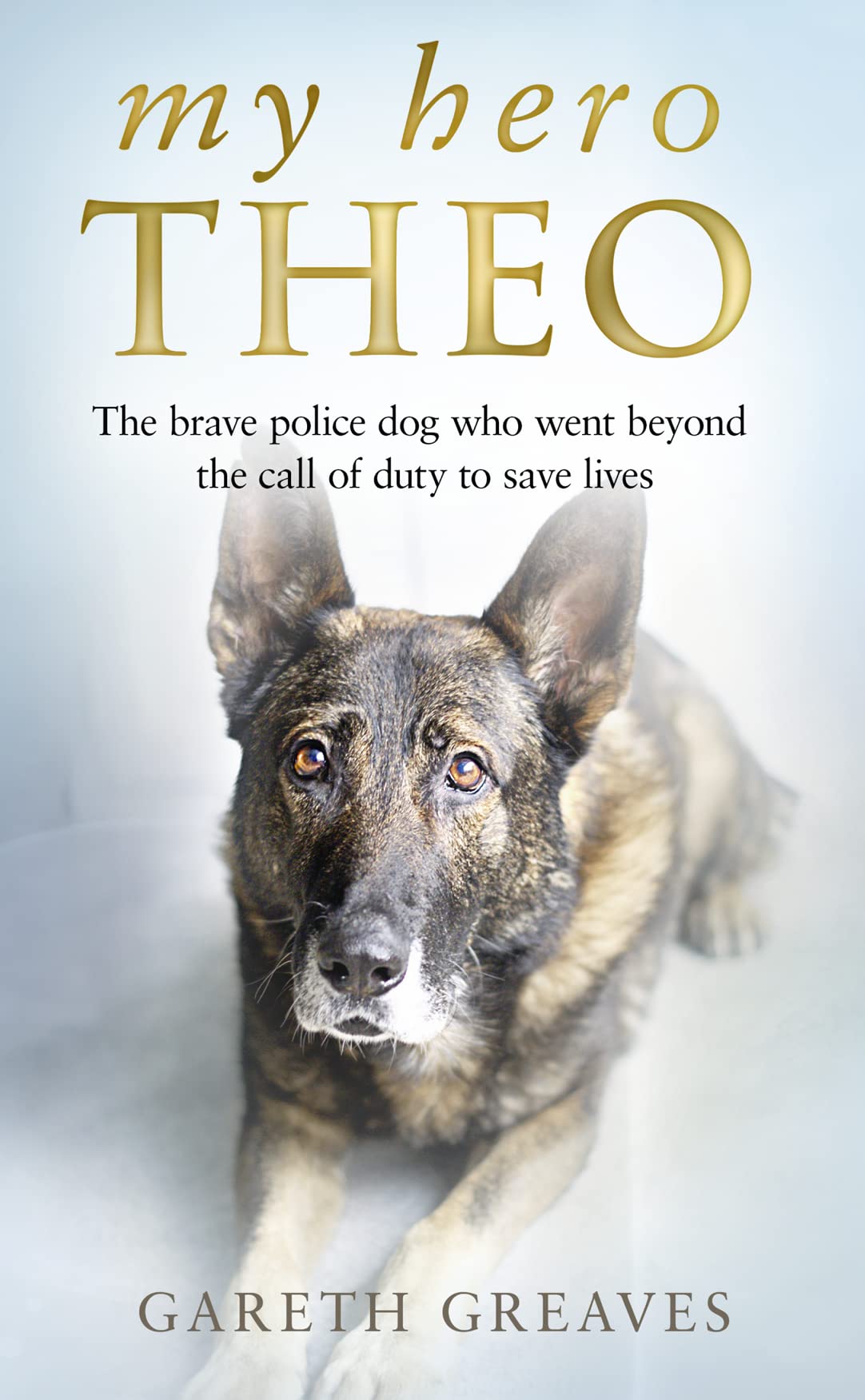 Amazon.com: My Hero Theo: 9780008385224: Gareth Greaves: Books