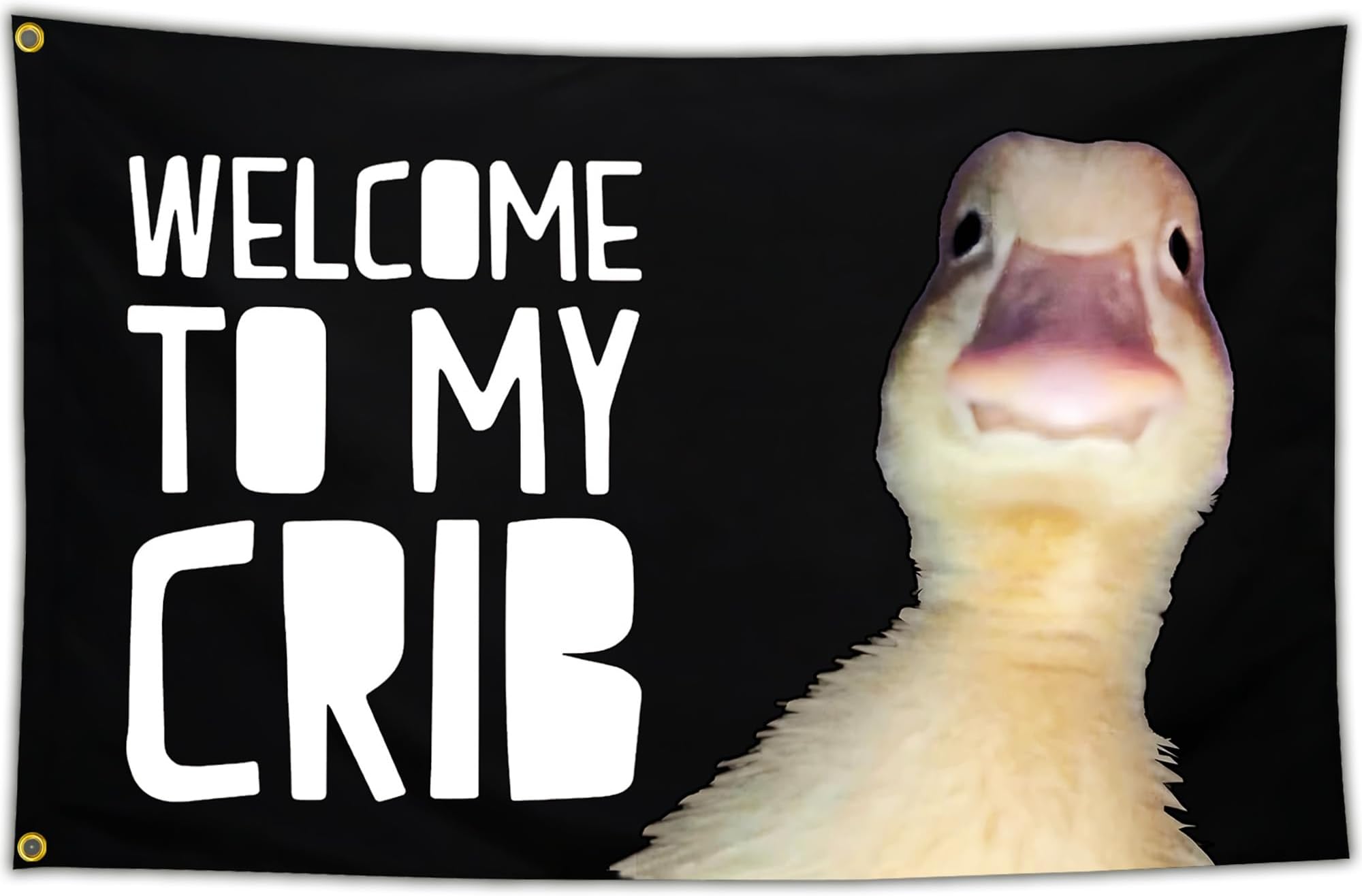 Amazon.com : Cuiliqun Welcome to My Crib Duck Flag 3x5 Ft Funny ...