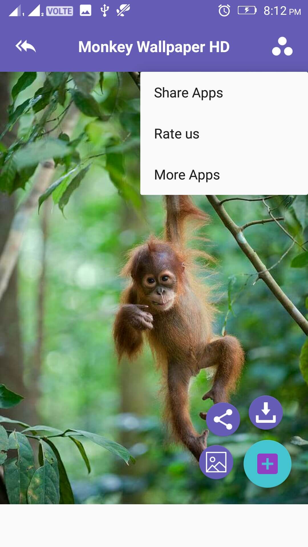 Monkey 4K Wallpaper - App on the Amazon Appstore