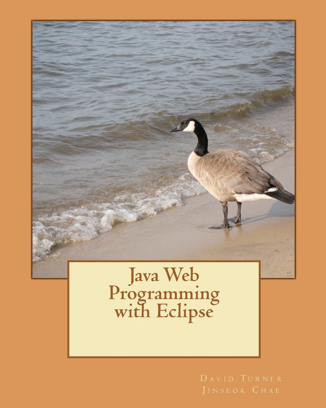 Java Web Programming with Eclipse: Turner PhD, David A, Chae PhD, Jinseok: 9781453881590: Amazon ...