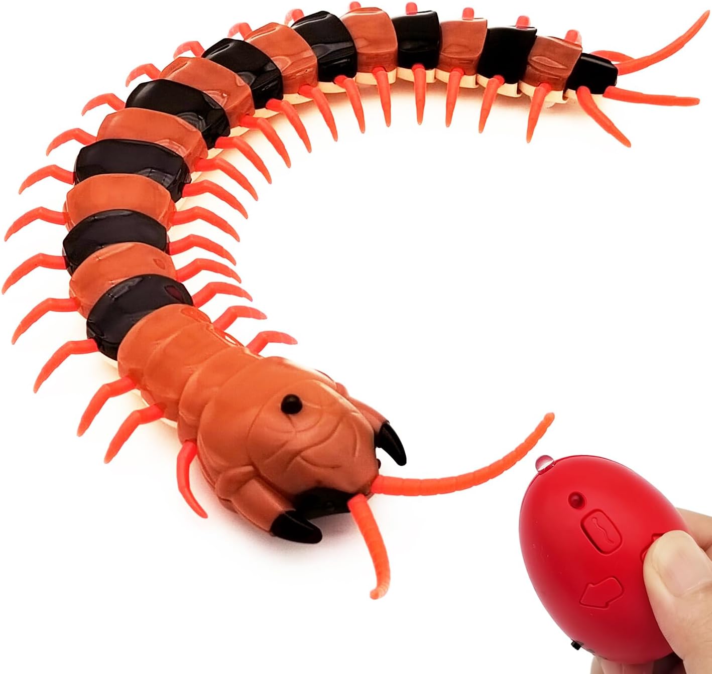 Amazon.com: Tipmant Realistic RC Centipede Scolopendra Toy Infrared ...