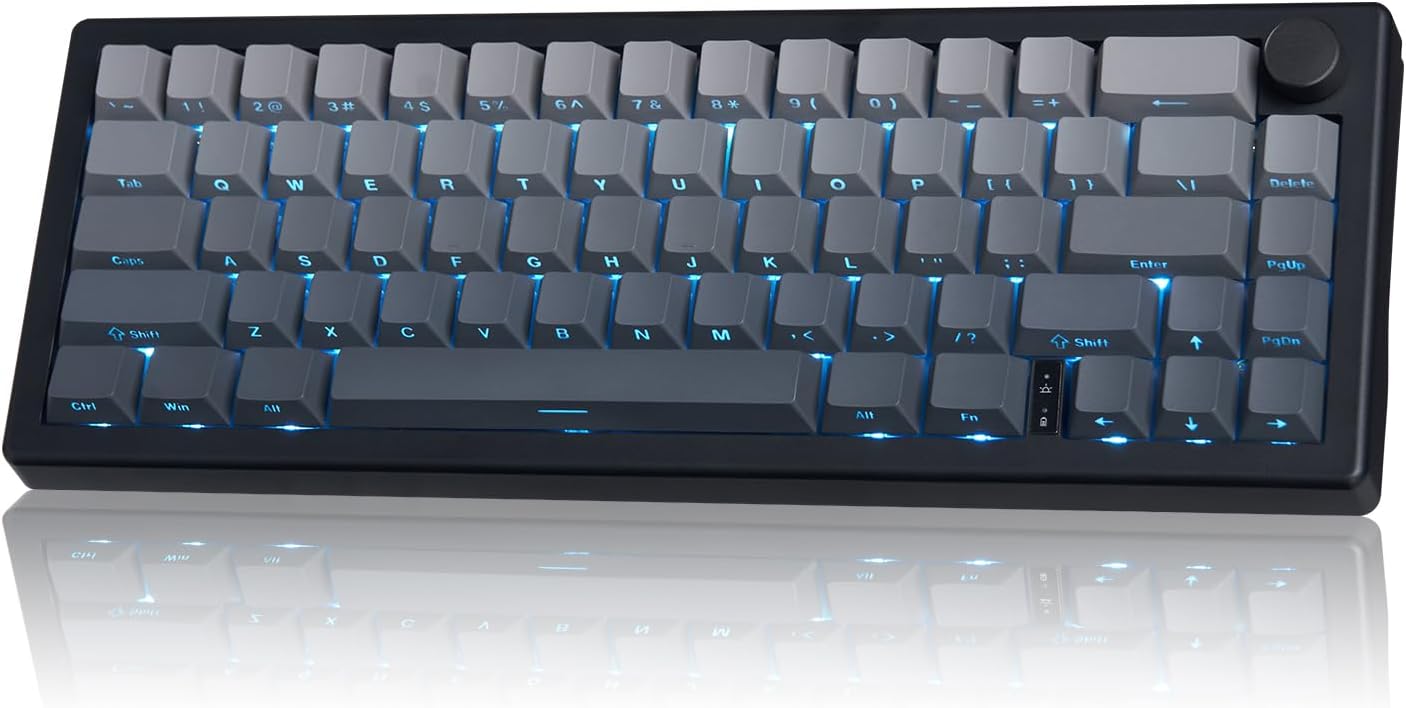 Amazon.com: SUEHIODHY GMK67 Gray Backlit Mechanical Keyboard Hot ...