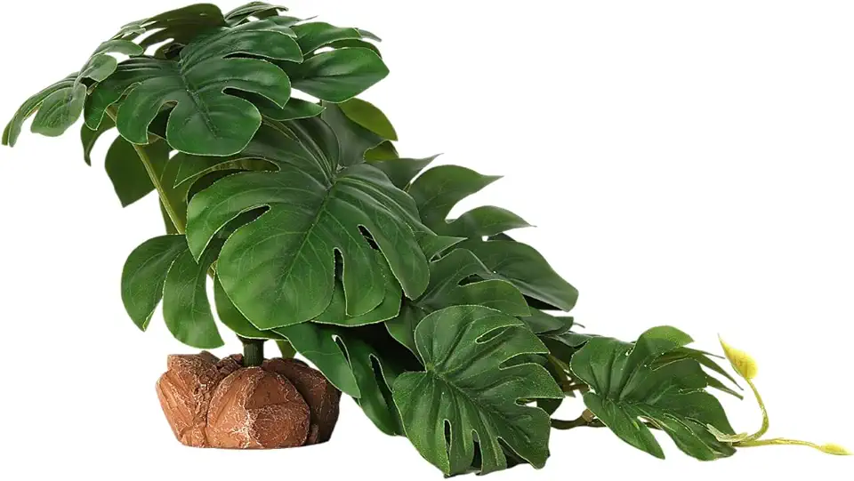 Creating The Perfect Habitat For Your Ball Python: A Step-By-Step Guide ...