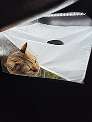 Amazon.com : FOSITAN Photo Light Box, Upgrade 8 Backdrops Photo Studio ...