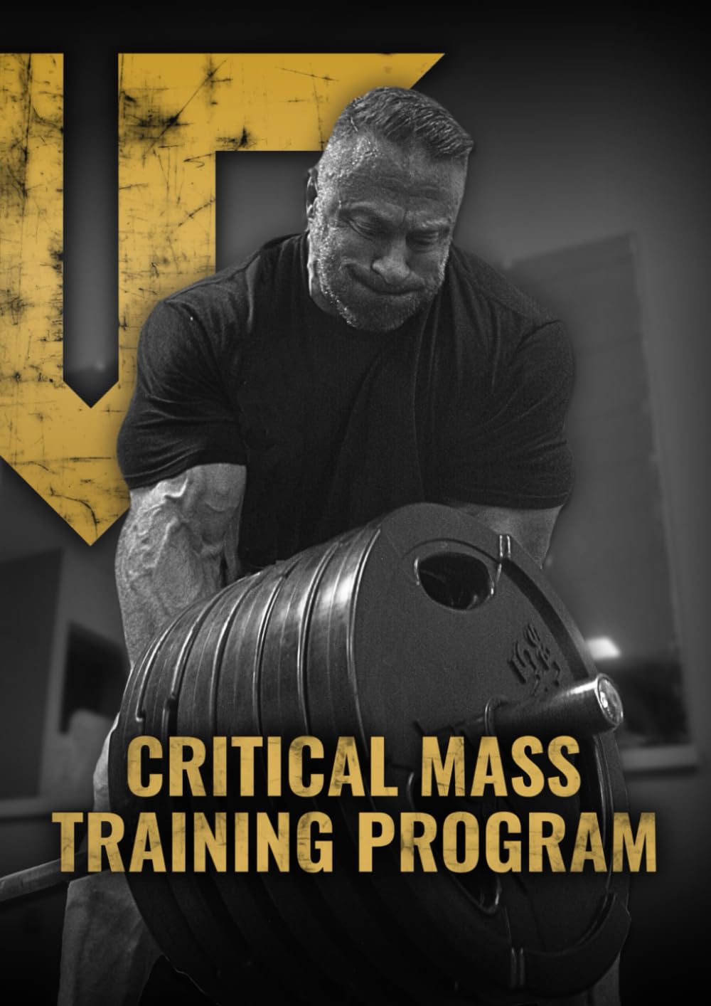 Critical Mass Training Program: Harris, Justin: 9798876200372: Amazon ...