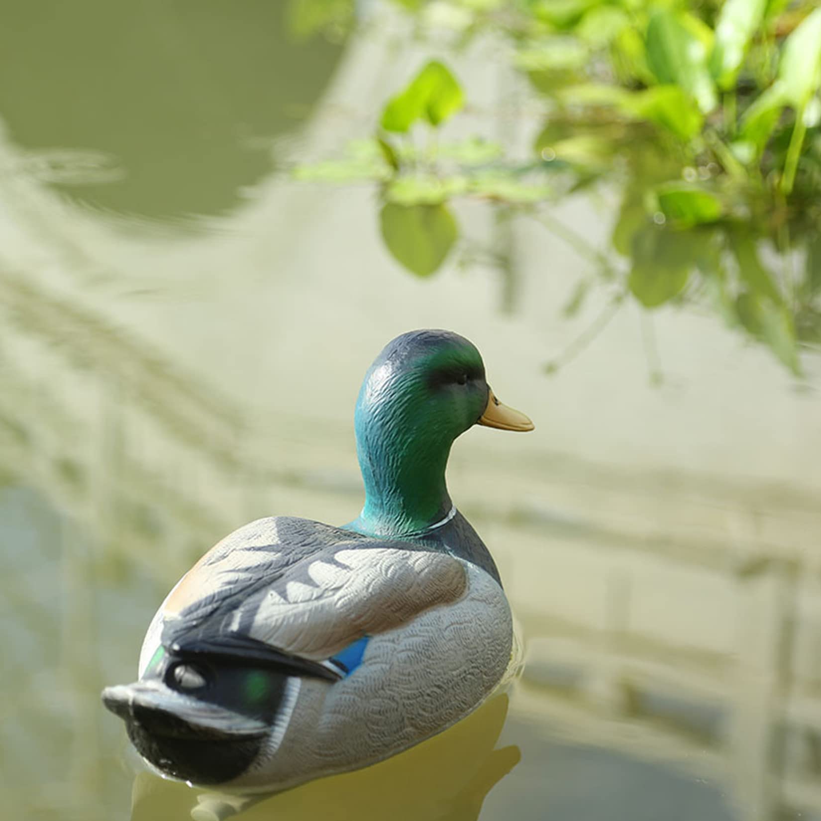 Snapklik.com : RioRand Highly Realistic Plastic Duck Decoys Hunting Decor Field Mallards Male