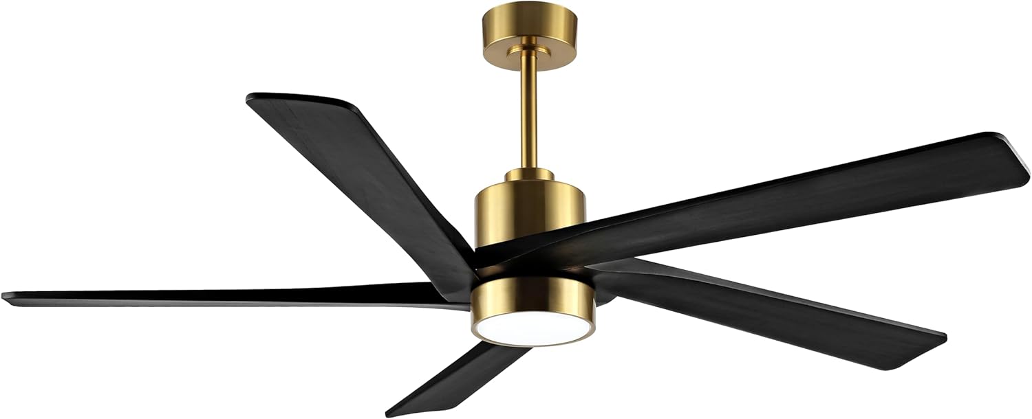 Amazon.com: WINGBO 72" DC Ceiling Fan with Lights and 3 Downrods, 5 ...