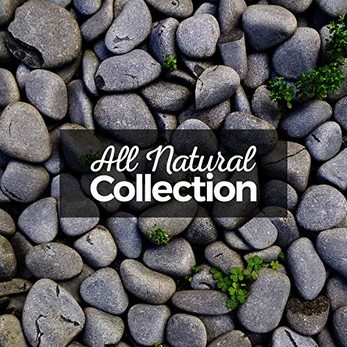 Amazon.com: All Natural Collection : Nature Sound Collection: Digital Music