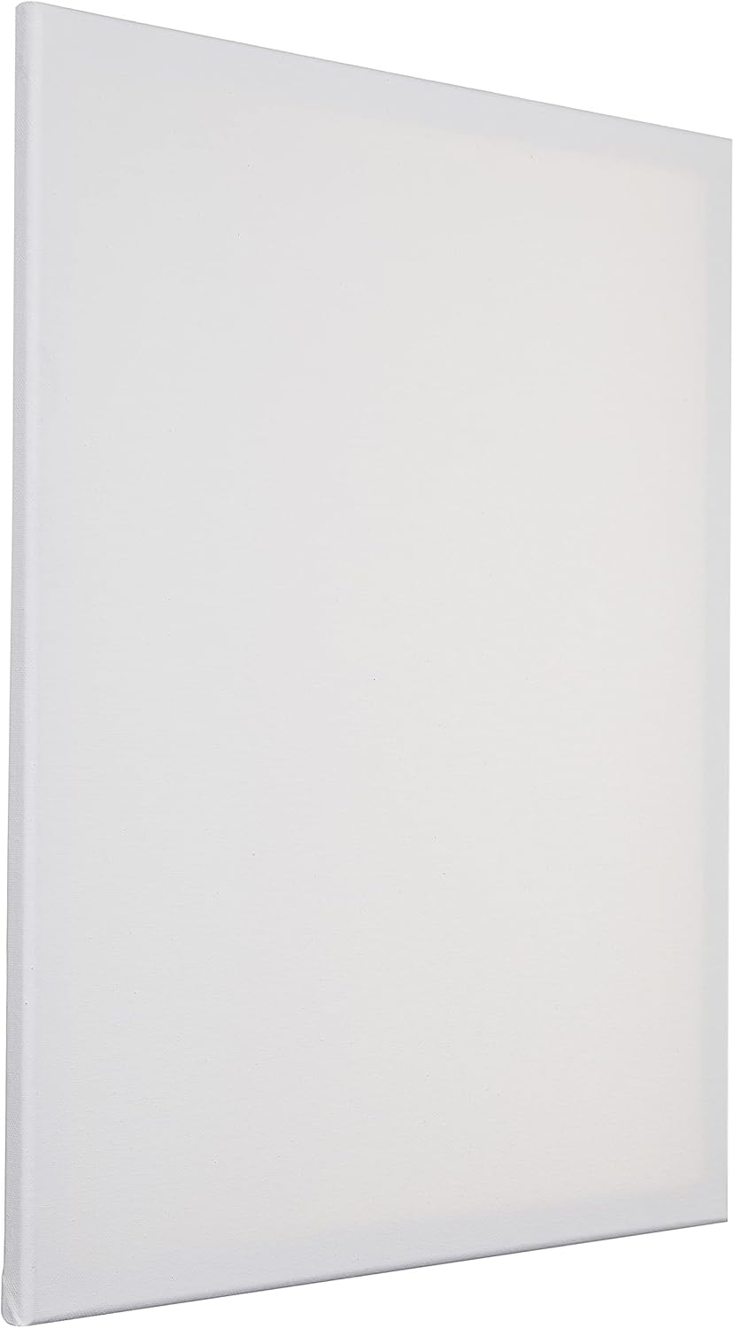 Sargent Art Lienzo estirado de 16 x 20 pulgadas paquete de 20 piezas ...