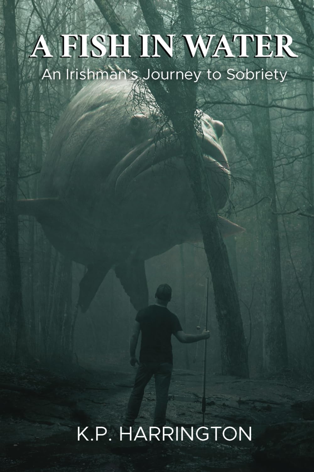 Fish in Water: AN Irishman's Journey to Sobriety: Harrington, KP ...