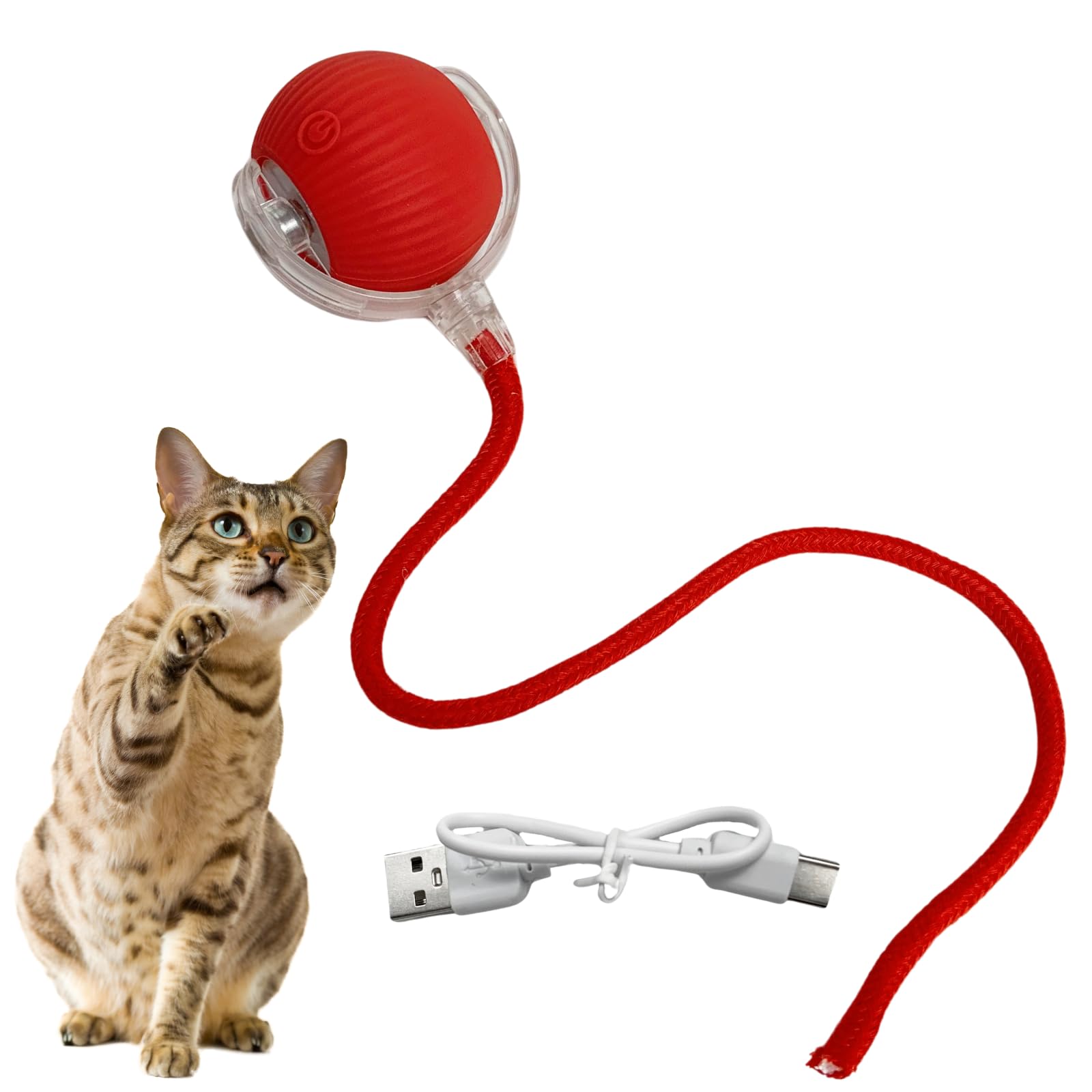 Amazon.com : PLLCJB Interactive Rolling Cat Ball, 2025 New Electric ...