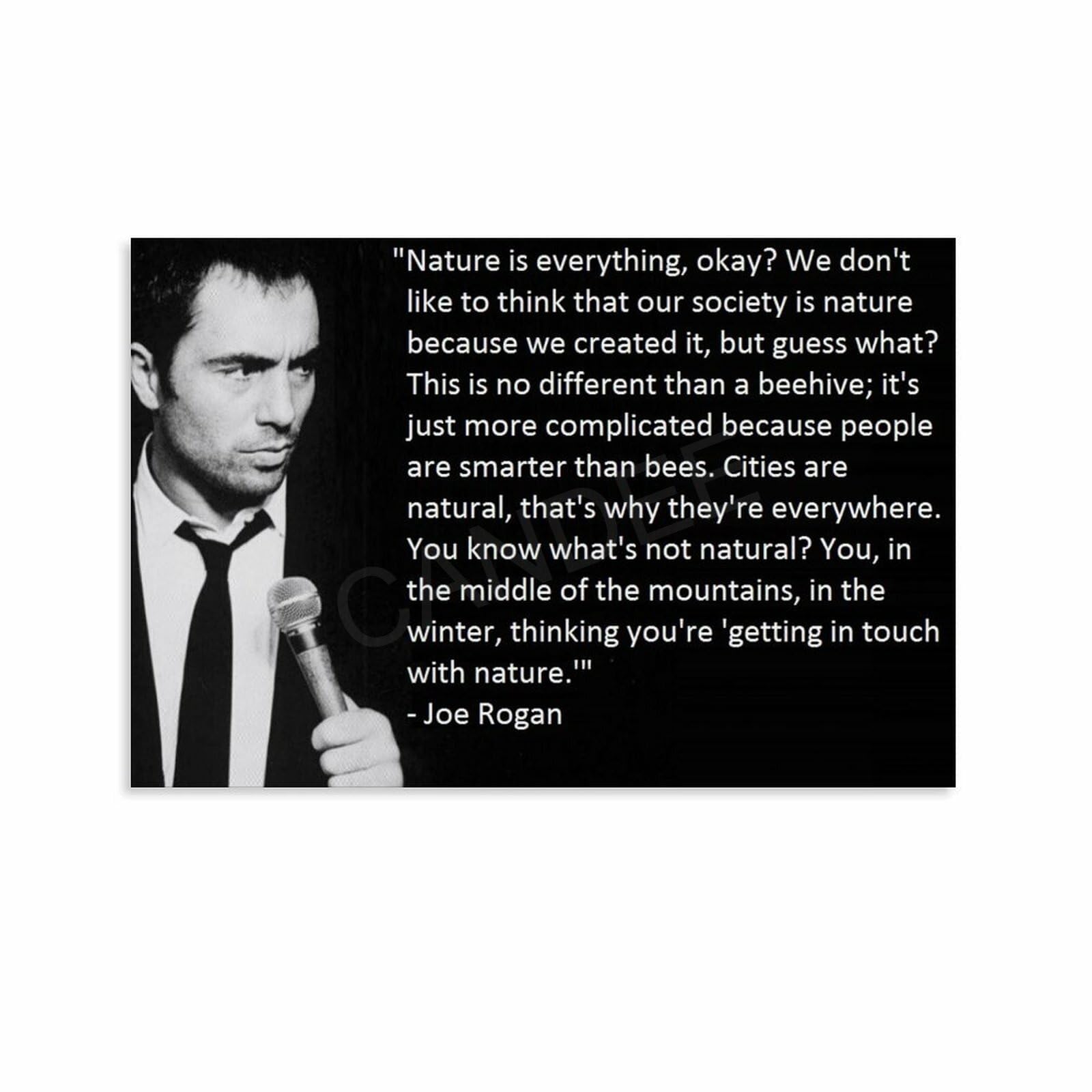 Joe Rogan Earth Quotes
