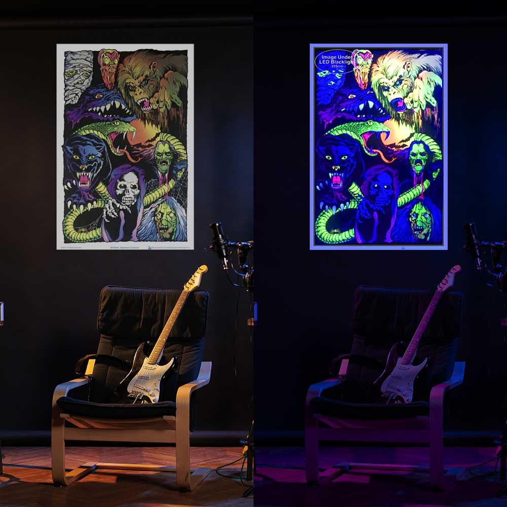 Black Light Poster Frame