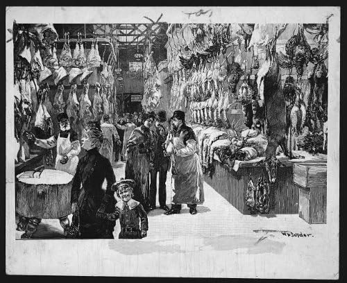Amazon.com: INFINITE PHOTOGRAPHS Photo: Photograph of a 1882 Wood Shows ...