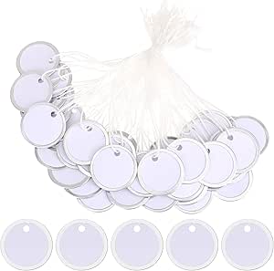 Amazon.com : 50 Pcs Round Tags Paper Key Tags with Metal Rings Key Tag ...